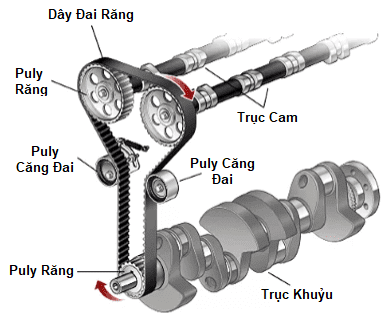 Puly Răng Là Gì?Ứng Dụng Và Các Thông Số Của Puly Răng S2M, S3M, S5M ...