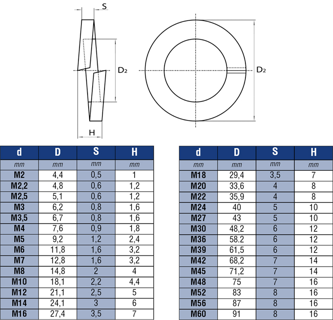 Lông đền vênh: Khái niệm, Đặc điểm và Phân loại | Mecsu.vn